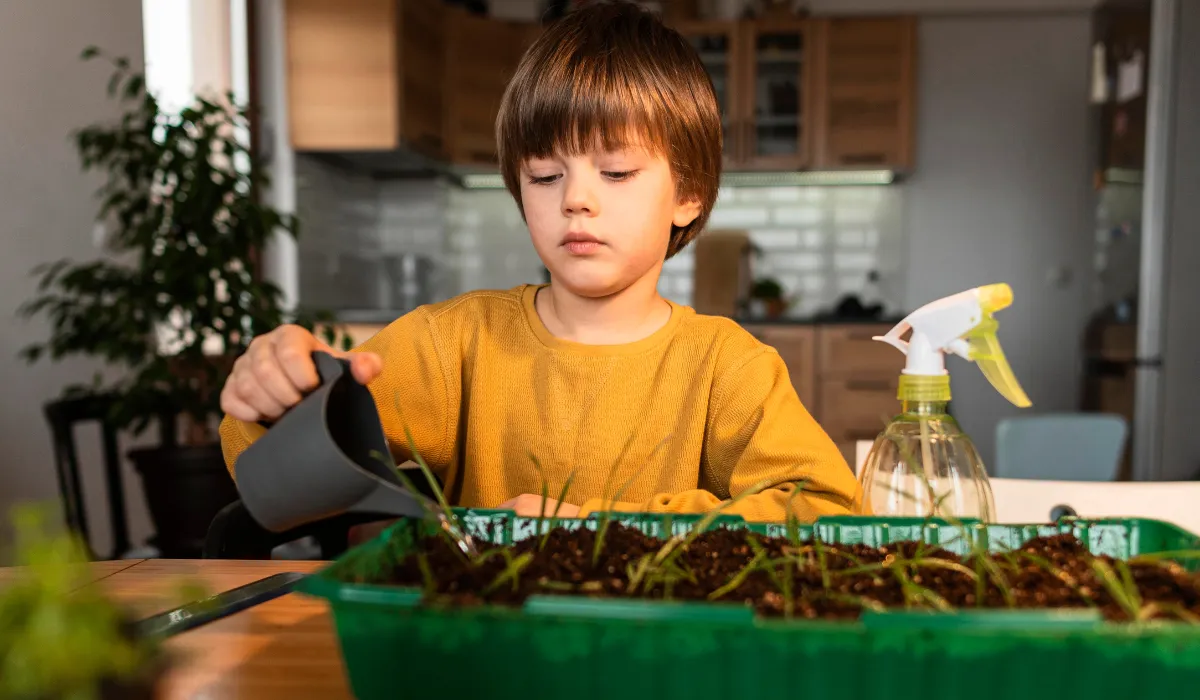 Children Rights and Responsibilities at Home: Complete Guide